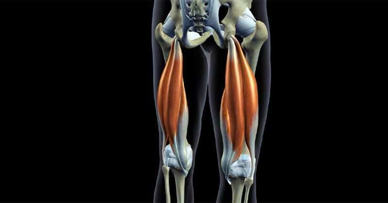 Four Ways to Train Your Hamstrings at Home - Pure Performance Training